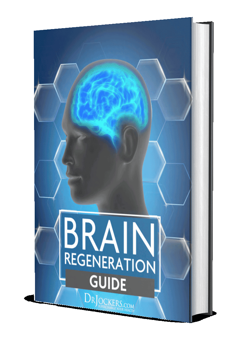 Brain Regeneration Guide | DrTalks | Conquering Chronic Inflammation Summit 2.0